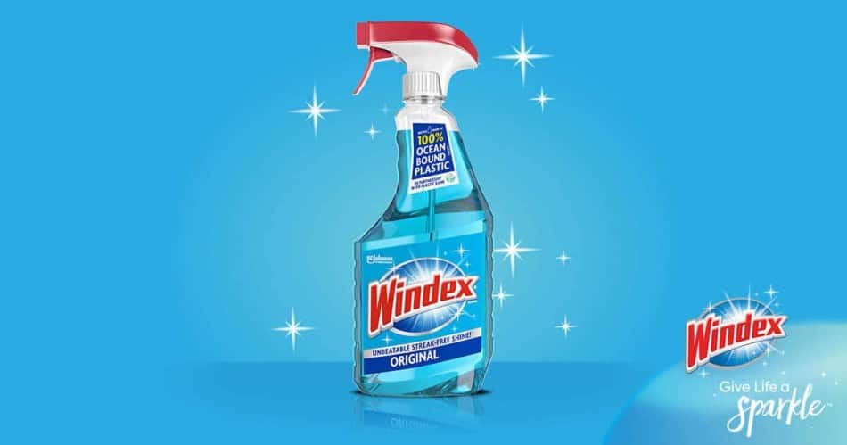 Is Windex Harmful To Indoor Plants? - Indoor Green Guide