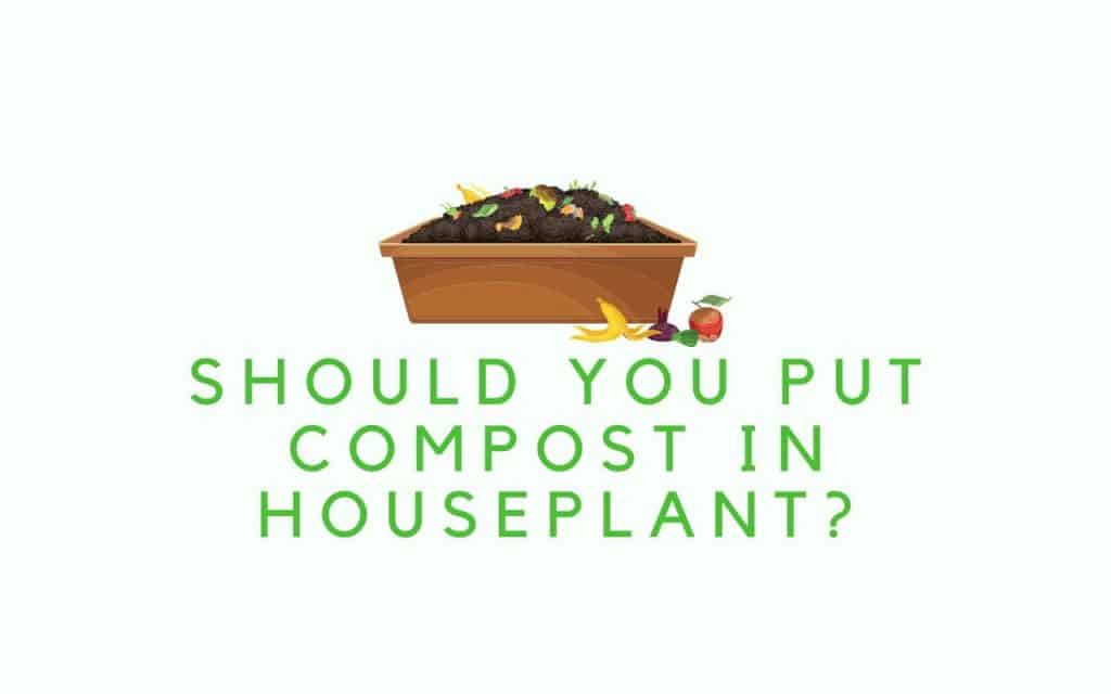 Should You Put Compost in Houseplants? It Depends. - Indoor Green Guide